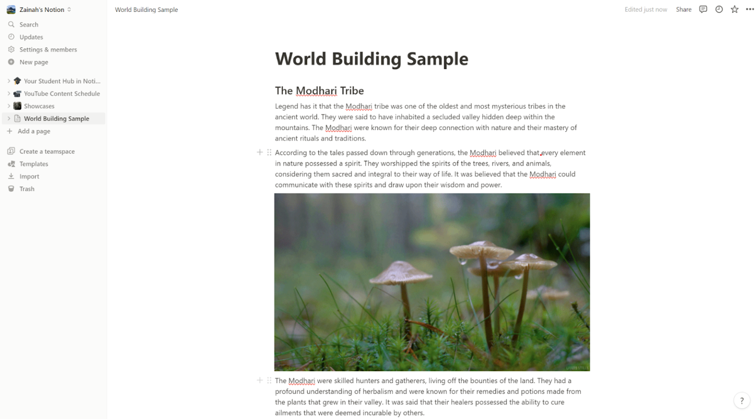 The Top Ten Best Worldbuilding Tools (Paid and FREE)